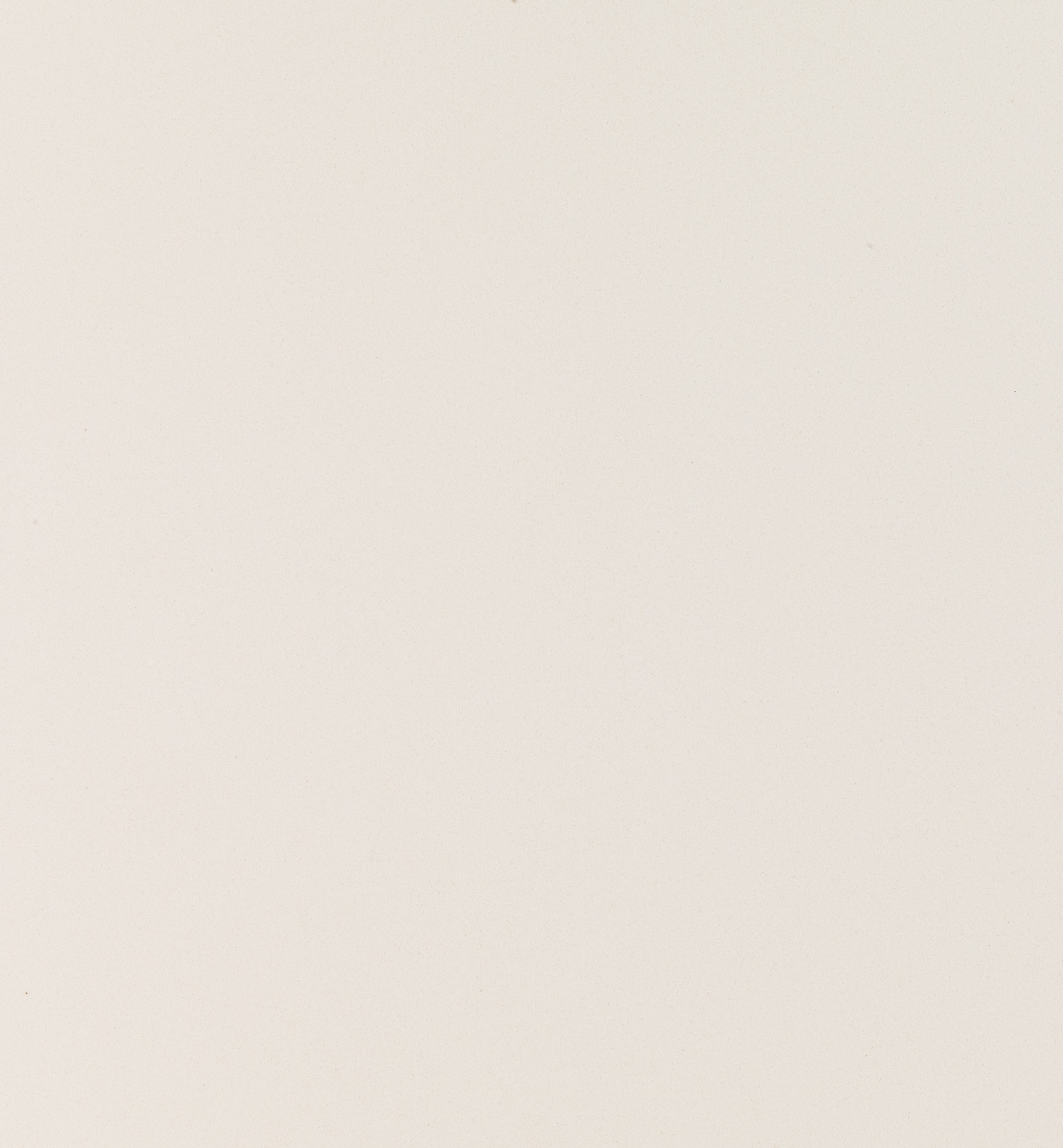 PREMIUM COTTON BEIGE POLI small bestel je bij BMB