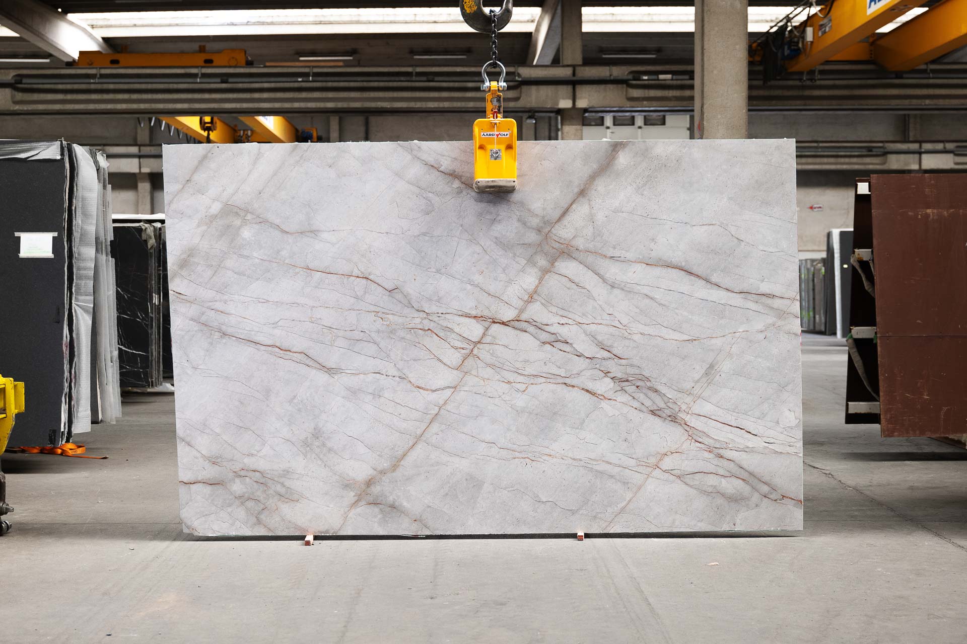 GREY ROOTS POLI bestel je bij BMB