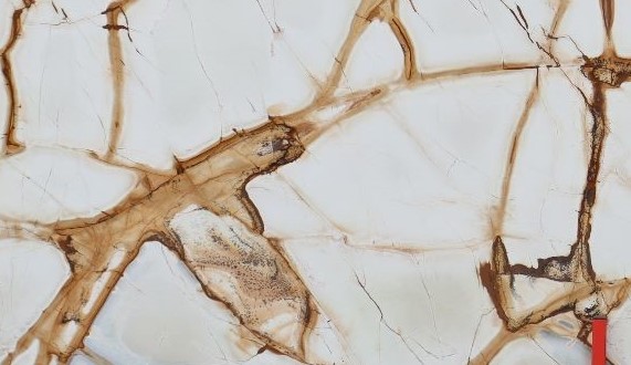 WHITE ROMA POLI bestel je bij BMB